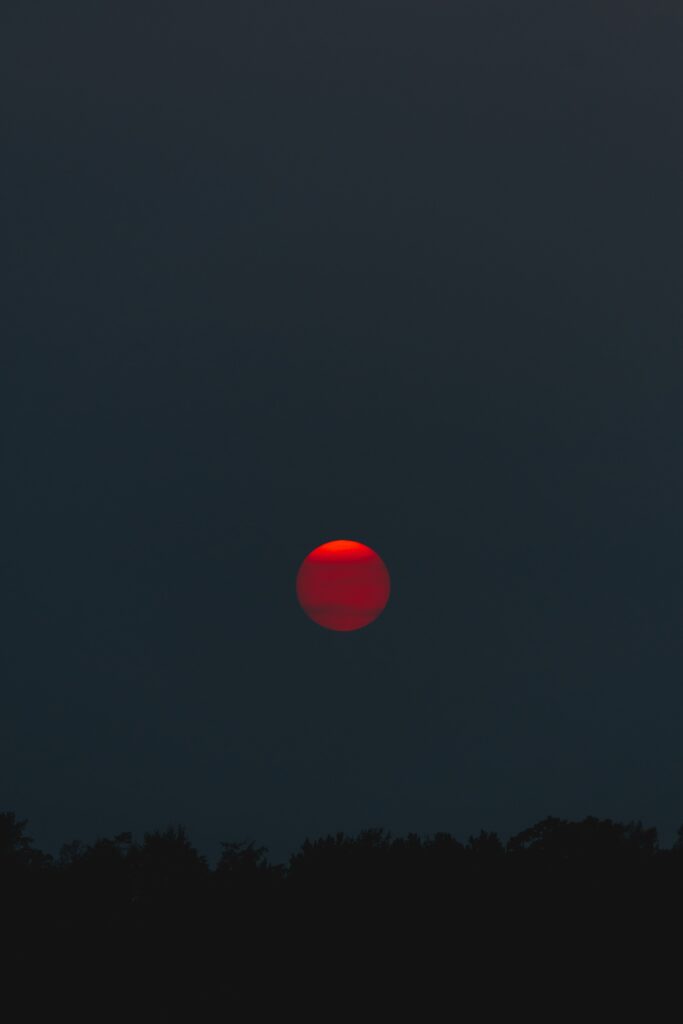 Produce Organic Red Raspberries, 6 Oz Review | Eco Life Wise