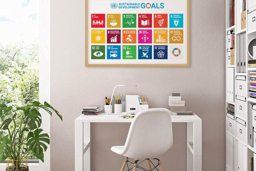 Sustainable Development Goals Poster Review | Eco Life Wise