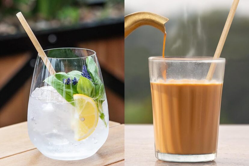 Biodegradable Coconut Straws Review | Eco Life Wise