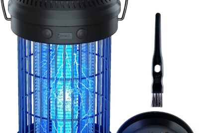 Eco Life Wise | Your Guide to an Eco Friendly Lifestyle