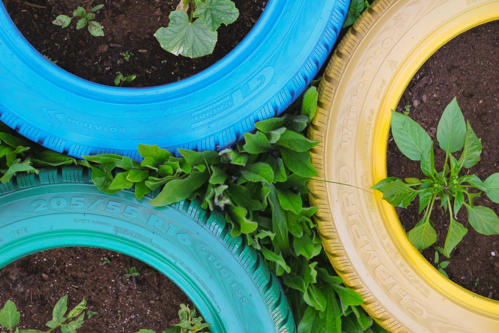 Growing Your Own Organic Food at Home | Eco Life Wise