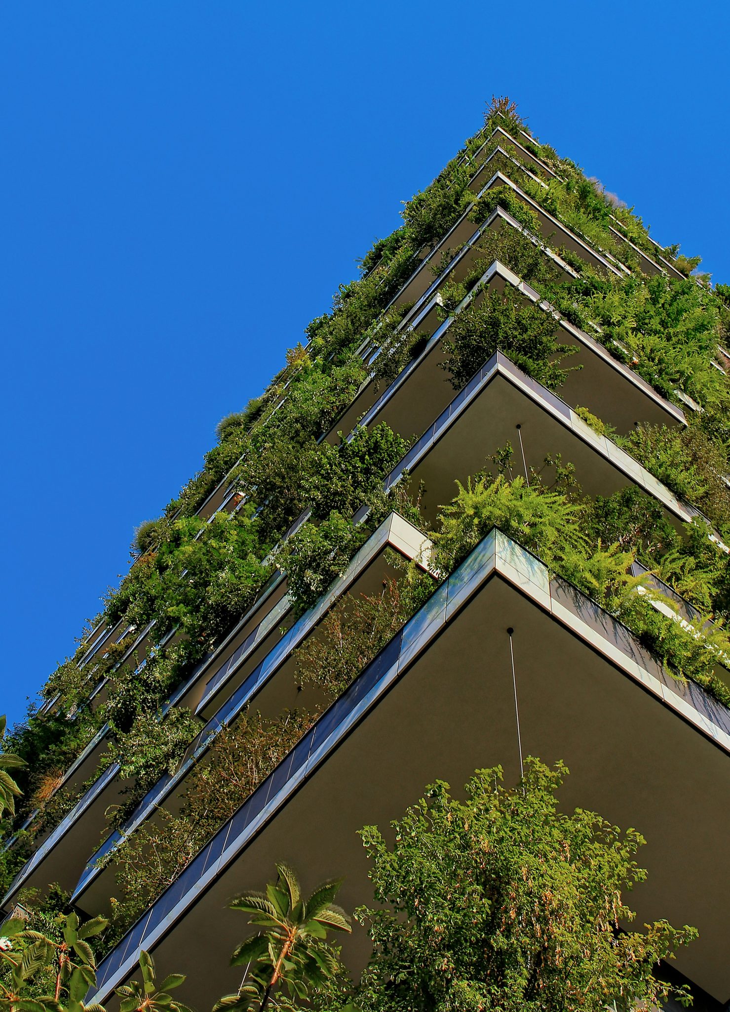 How Do Sustainable Buildings Perform Over Time? | Eco Life Wise