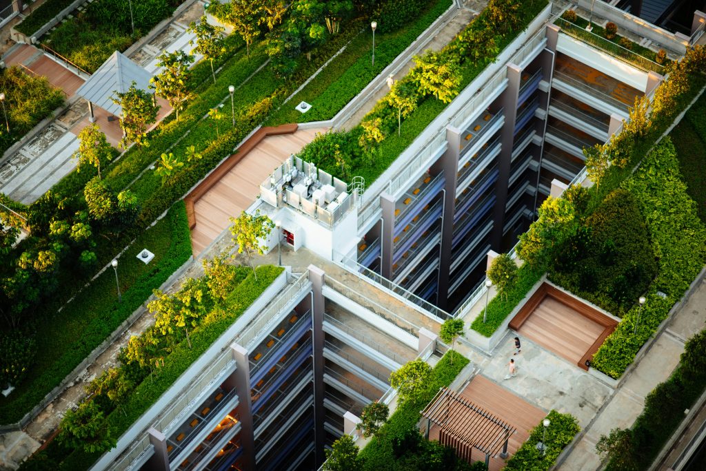 What Is The Role Of Vegetation In Sustainable Architecture? | Eco Life Wise