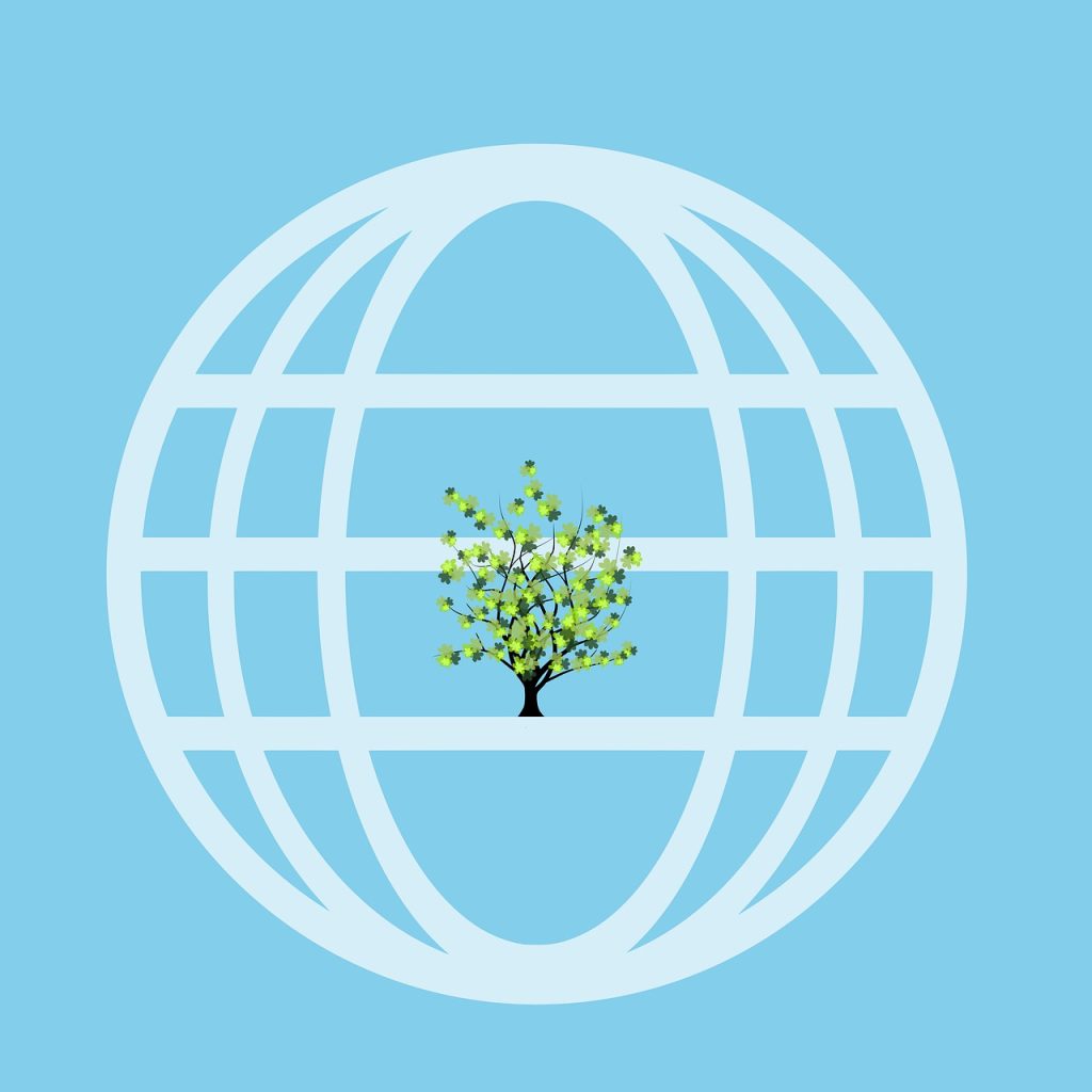 What Are The Benefits Of Environmental Education? | Eco Life Wise